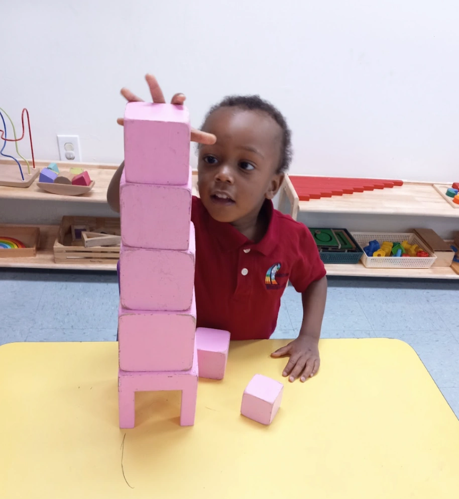 Nest - Rainbow Montessori Multicultural School